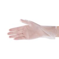 China AIG Vinyl Disposable Gloves Large Powder Free Latex Free 100/Box for sale