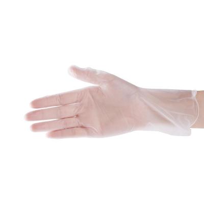 China AIG Vinyl Disposable Gloves Large Powder Free Latex Free 100/Box for sale
