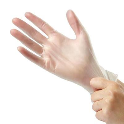 China 100 Per Box Vinyl Gloves Powder Free Non-Textured for sale