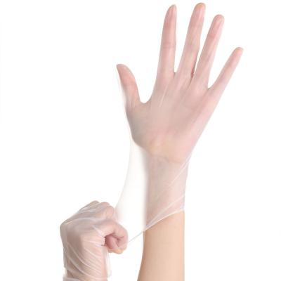 China Food Service Vinyl Gloves 4.5g Powder Free Latex Free Clear 100pcs per Box for sale