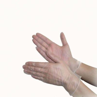 China Food Grade Disposable Vinyl Gloves Powder Free 240mm-330mm Length Smooth Textured for sale