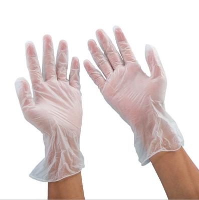 China General Purpose Vinyl Gloves 100 Pcs Box Latex Free Powder Free Clear Disposable for sale