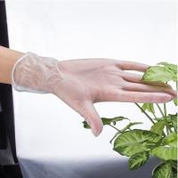 China Clear Disposable Vinyl Gloves 100 Gloves Per Box Powder Free Latex Free for Home Restaurant Bar for sale