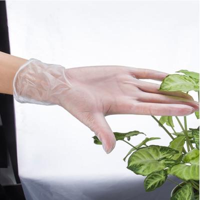 China Clear Disposable Vinyl Gloves 100 Gloves Per Box Powder Free Latex Free for Home Restaurant Bar for sale