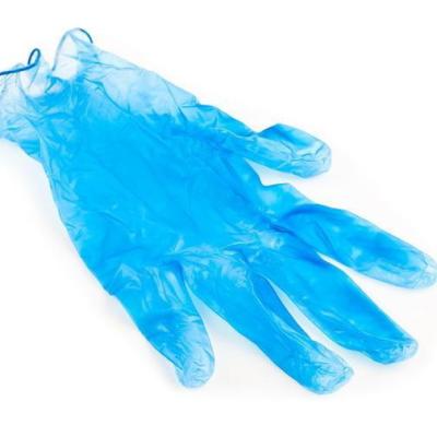 China ISO9001 Blue Disposable 8.0g Food Service Vinyl Glove 240mm Length for sale