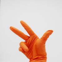 China 9MPa Vinyl Examination Gloves Powder Free 240mm Length Disposable for sale