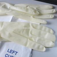 China Medical Disposable Latex Surgical Gloves Powdered Size XS to XL 240mm Length for sale
