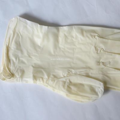 China Disposable Latex Surgical Examination Gloves CE ISO 9001 240mm Length for sale