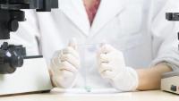 China Disposable Latex Surgical Gloves Sterile Powdered 9.5 Inch 0.20mm Thickness CE ISO for sale