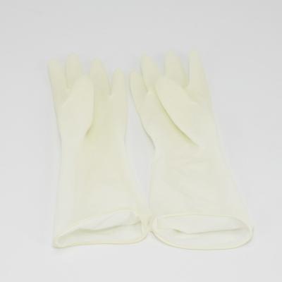 China Disposable Sterile Latex Surgical Glove 240mm Length Medical Grade CE ISO for sale