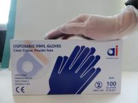 China PVC Disposable Gloves Latex Free Powder Free 100 Pcs Box Medium 240mm Length for sale