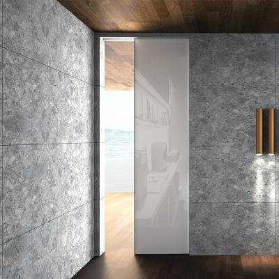 China Anodized Hidden cavity Aluminium Internal Sliding Doors Wall Mounted for sale