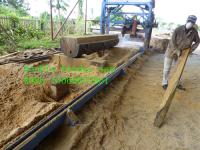 China Industrial Double Saw Blade Angle Circular Sawmill 700mm-2000mm Wood Cutting Capacity for sale