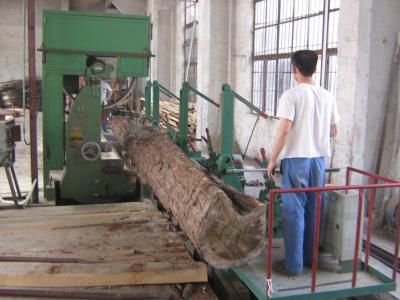China Woodworking Vertical Band Saw with Carriage 1250mm Saw Wheel 37kw for Log Cutting for sale