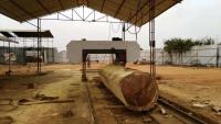 China MJ2500 Large Horizontal Wood CNC Band Saw Machine 2500mm Cutting Diameter 45kw for sale