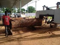 China Large Scale Horizontal Band Sawmill For Sawing Big Diameter Hard Woods for sale