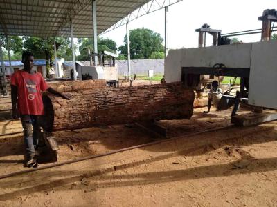 China Large Scale Horizontal Band Sawmill For Sawing Big Diameter Hard Woods for sale