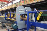 China Automatic Twin Vertical Band Sawmill Production Line 500mm 150m3/Day for sale