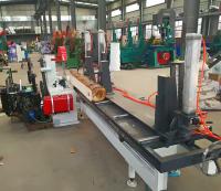 China Diesel Twin Blades Circular Sawmill 400mm Diameter 7.5KW for Rubber Wood Log Carriage for sale