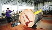 China Portable Wood Slasher Chainsaw Mill with 1200mm Log Capacity and 5.5kW Motor for Industrial Wood Processing for sale