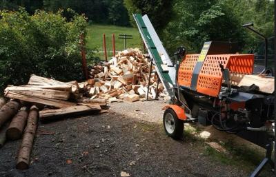 China Gasoline Petrol Engine Log Splitter Firewood Wood Processor Approved On Road Use for sale