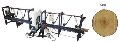 China Computer Control Twin Blade Vertical Band Sawmill SLS350 SLS500 Automatic Log Sawing Equipment for sale