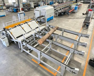 China Industrial Log Multi-Rip Saw Production Line 250-500mm Diameter 120m³ per 8h Capacity for sale