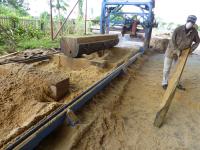 China Double Blade Angle Circular Sawmill for Hardwood Log Cutting 1300mm 15kW for sale