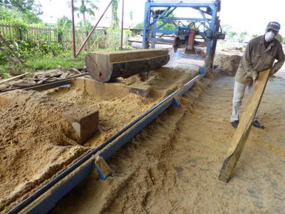 China Double Blade Angle Circular Sawmill for Hardwood Log Cutting 1300mm 15kW for sale