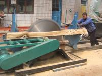 China tree saw machine wood cutting machine, wood circular sawmill with carriage for sale