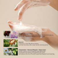 China Natural Antibacterial Herbal Hand Soap with 12 Plant Extracts - Foaming Hand Wash for Sensitive Skin for sale