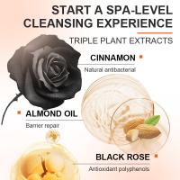 China Byzantine Style Moisturizing Cinnamon Liquid Hand Soap with Almond Oil - Custom OEM/ODM Available for sale
