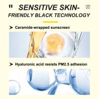 China Hot Spring Soothing Mild Sunscreen SPF50+ PA++++ 50ml for Sensitive Skin - Gentle Formula with Waterproof Protection for sale