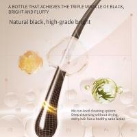 China He Shou Wu Platycladus Orientalis Hair Growth Liquid Essence with Black Ganoderma Extract for Daily Scalp Treatment for sale