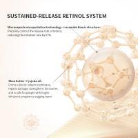 China Retinol Firming Body Lotion with Niacinamide Anti-Aging Complex - 67% Reduced Irritation, Visible Results in 7 Days for sale