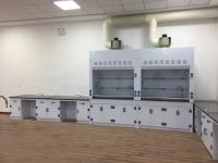 China FH1500 Mini Steel Polypropylene Fume Hood 1200mm 1500mm 1800mm Chemical Resistant Walk In Lab for sale