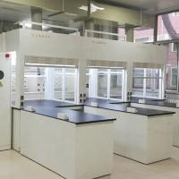 China FH1500 Mini Steel Polypropylene Fume Hood 1200mm 1500mm 1800mm Chemical Resistant Walk In Lab for sale