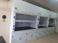 China All Steel Explosion Proof Chemical Exhaust Fan 1200mm Lab Fume Hood for School Furniture for sale