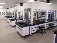China CE Certified Ducted Steel PP Laboratory Fume Hood 1200mm 850mm 2350mm Chemical Extractor for sale