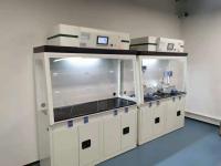 China Portable Ductless Acid Digestion Fume Hood 110V 60Hz Complying with JG/T 385-2012 for sale