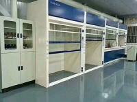 China ISO9001 CE EN14470-1 Certified Walk In Fume Hood 1200x850x2350 mm Steel Lab Ventilation for sale