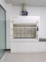 China PP Fume Hood 110V 220V for Pharmaceutical Lab School Chemical Safety Cabinet for sale