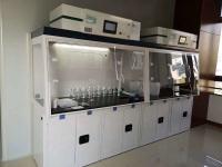 China Ductless Purification Fume Hood 800mm Galvanized Steel Lab Ventilation 240m3/h for sale