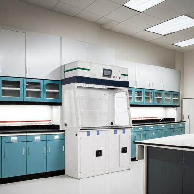 China Xunling Ductless Laminar Flow Fume Hood 110V-240V Explosion Proof Lab Furniture for sale