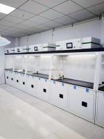 China Explosion Proof Ductless Biosafety Cabinet 110V 240V Polypropylene Fume Hood with Cupboard for sale