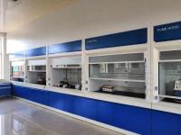 China Lab Fume Hood Stainless Steel Worktop Air Purifying 1200x850x2350mm CE ISO for sale