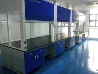 China Lab Fume Hood Stainless Steel Worktop Air Purifying 1200x850x2350mm CE ISO for sale