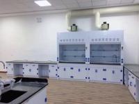 China PP Explosion Proof Fume Hood 1200mm with Gas Valve and Water Valve for Chemical Lab for sale