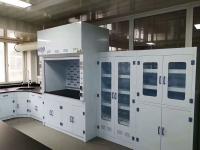China ISO9001 ISO14001 Certified PP Laminar Flow Fume Hood 1200mm Width Air Purification for sale