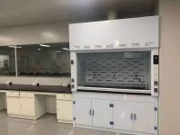 China PP Laminar Flow Fume Cupboard 1200mm Width Activated Carbon Filter Chemical Fume Hood ISO9001 CE for sale
